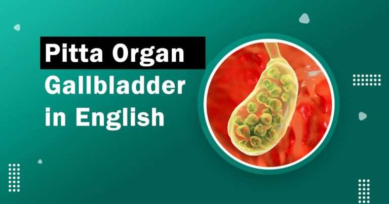 Pitta Organ in English | Dr Abdullah Iqbal